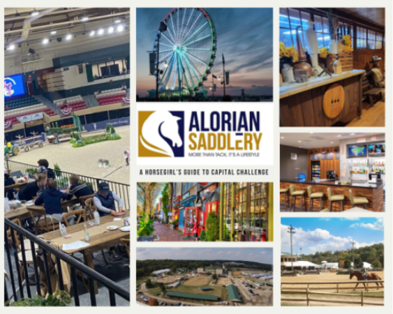 CAPITAL CHALLENGE – Alorian Saddlery